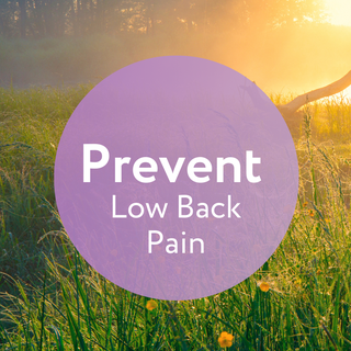Fitness | Best Practices to Prevent Low Back Pain | Sofia Health