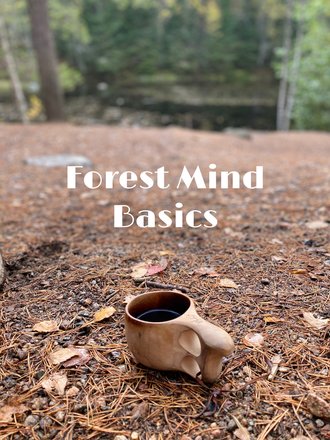 Erja Järvelä, Holistic Health Coach, ESPOO, uusimaa | Sofia Health