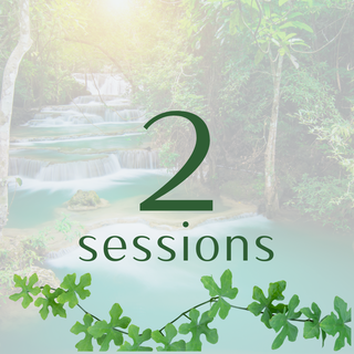 Coaching | Package 1: 2 sessions | Sofia Health